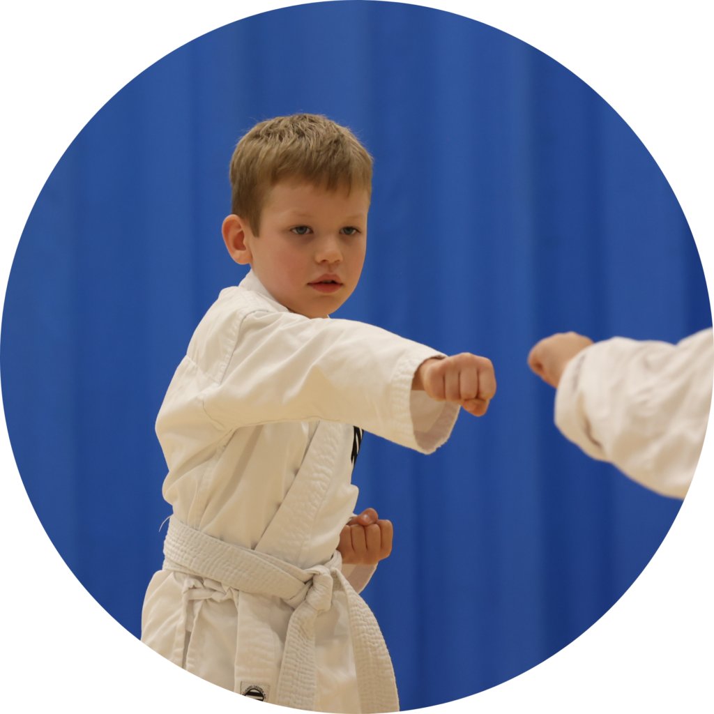 Karate Free Mini Class - Palatine Park District